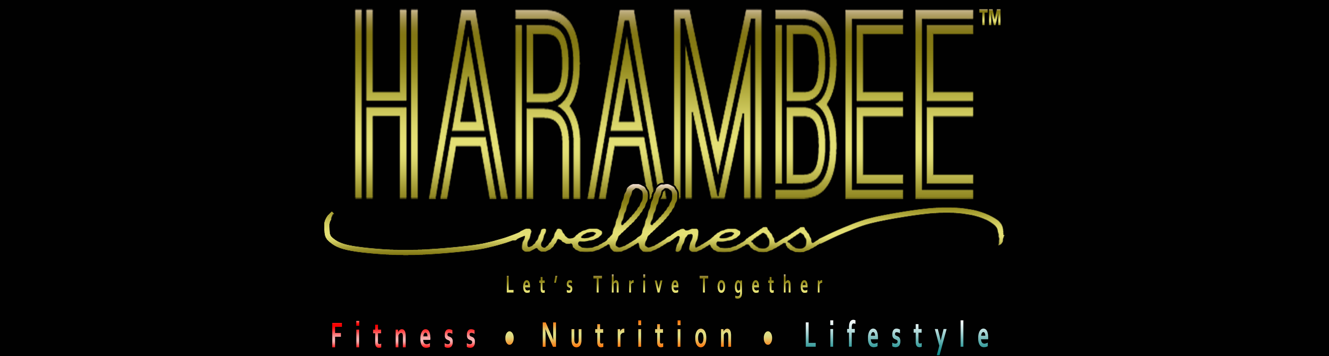 cropped-Harambee_GoldOnBlack_WebsiteHorizontalBanner-1.png – Harambee ...